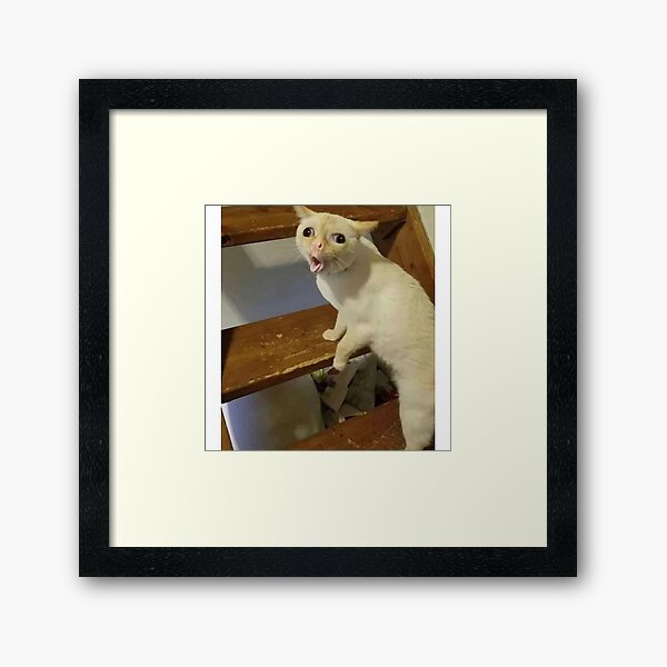 "How Little Kids Cough Cat" Framed Art Print for Sale by jillhenriques ...