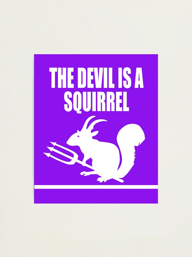 "Devil Squirrel, devil is a squirrel" Photographic Print for Sale by ...