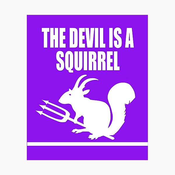 "Devil Squirrel, devil is a squirrel" Photographic Print for Sale by ...