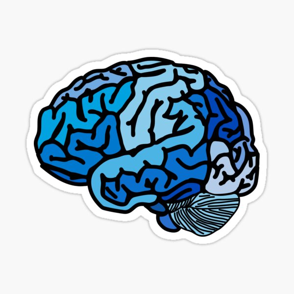 "Brain" Sticker for Sale by madisdrawings | Redbubble