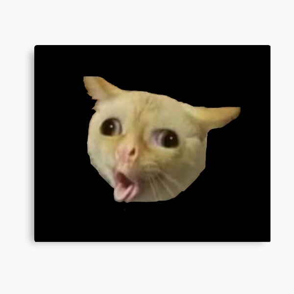 "Cat Coughing Like A Kid Meme" Canvas Print by RachelTintedRed | Redbubble