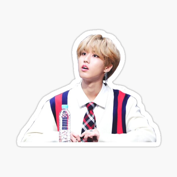 "Han Jisung-Stray Kids" Sticker for Sale by mycheestick | Redbubble