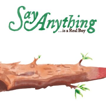 "Say Anything - ...is a Real Boy" Sticker for Sale by Cmiatrufo | Redbubble
