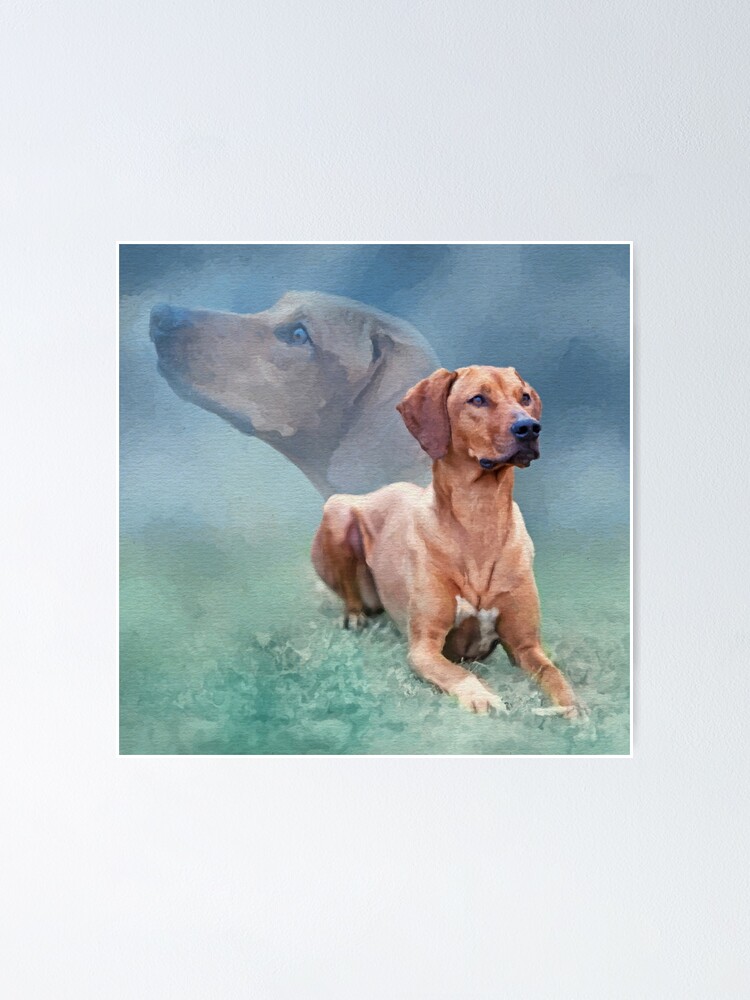 "Rhodesian Ridgeback Dog Collage" Poster for Sale by k9printart | Redbubble