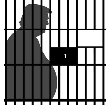 "Trump Lost Lock Him Up Traitor for Prison" Essential T-Shirt for Sale ...