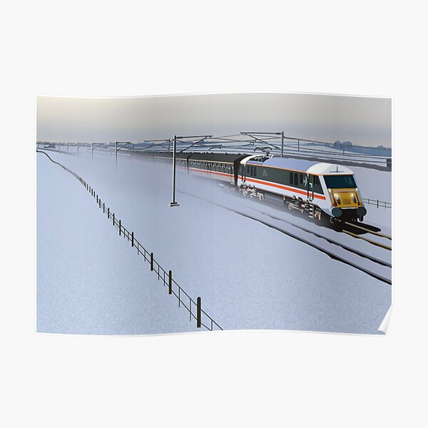 "Snow Badger" Poster for Sale by Rorymacve | Redbubble