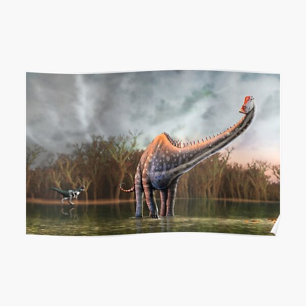 "Artwork of Diplodocus Dinosaur" Poster for Sale by magarlick | Redbubble