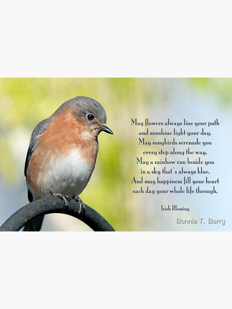 "Bluebird and Blessing " Framed Art Print for Sale by Miracles | Redbubble