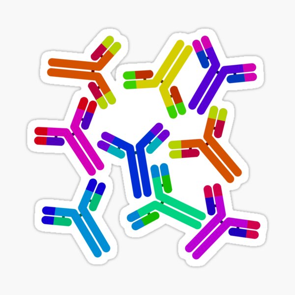 "Immunoglobulin (Antibody) Color Pop" Sticker for Sale by WindWardArt ...