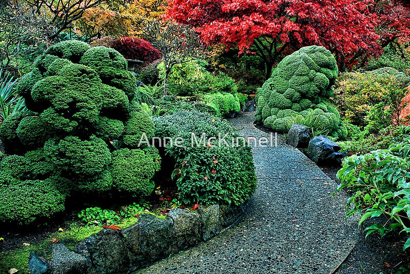 "Butchart Gardens" by Anne McKinnell | Redbubble