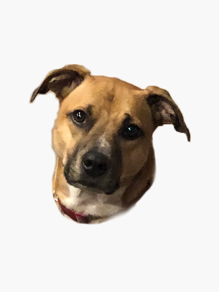 "Mabel's Beautiful Face" Sticker by hannahmb17 | Redbubble