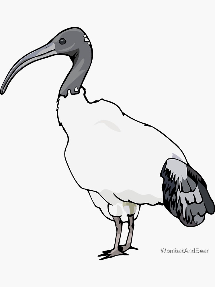 "Bin Chicken" Sticker for Sale by WombatAndBear | Redbubble