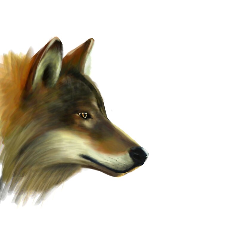 "Portrait of a Wolf without background colour" by artbywilf | Redbubble