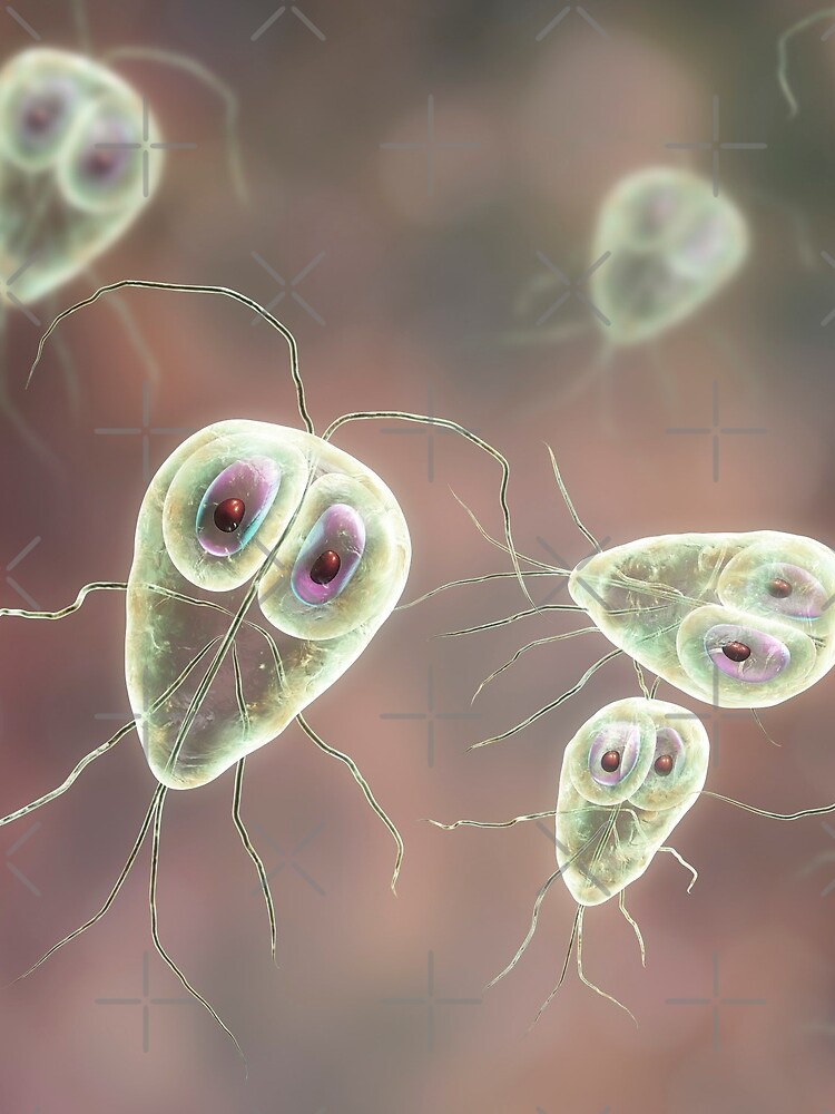 "Giardia lamblia parasitic protozoan" Drawstring Bag for Sale by ...