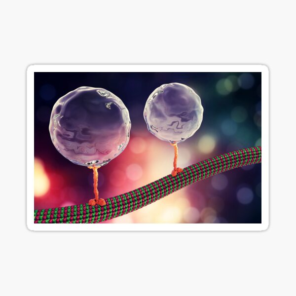 "Intracellular molecular transport" Sticker for Sale by DrMicrobe ...