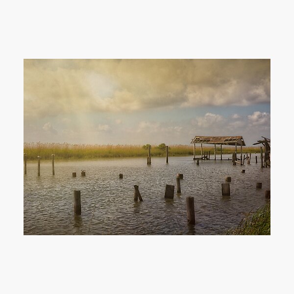Bayou Gifts & Merchandise | Redbubble