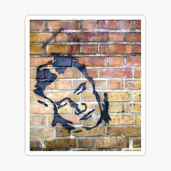 "Street Art Face" Sticker by richard49 | Redbubble