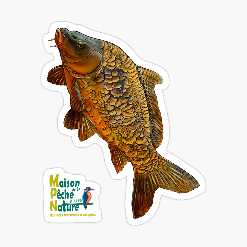 Louis The Fish" Greeting Card For Sale By Birthe3 Redbubble | atelier ...
