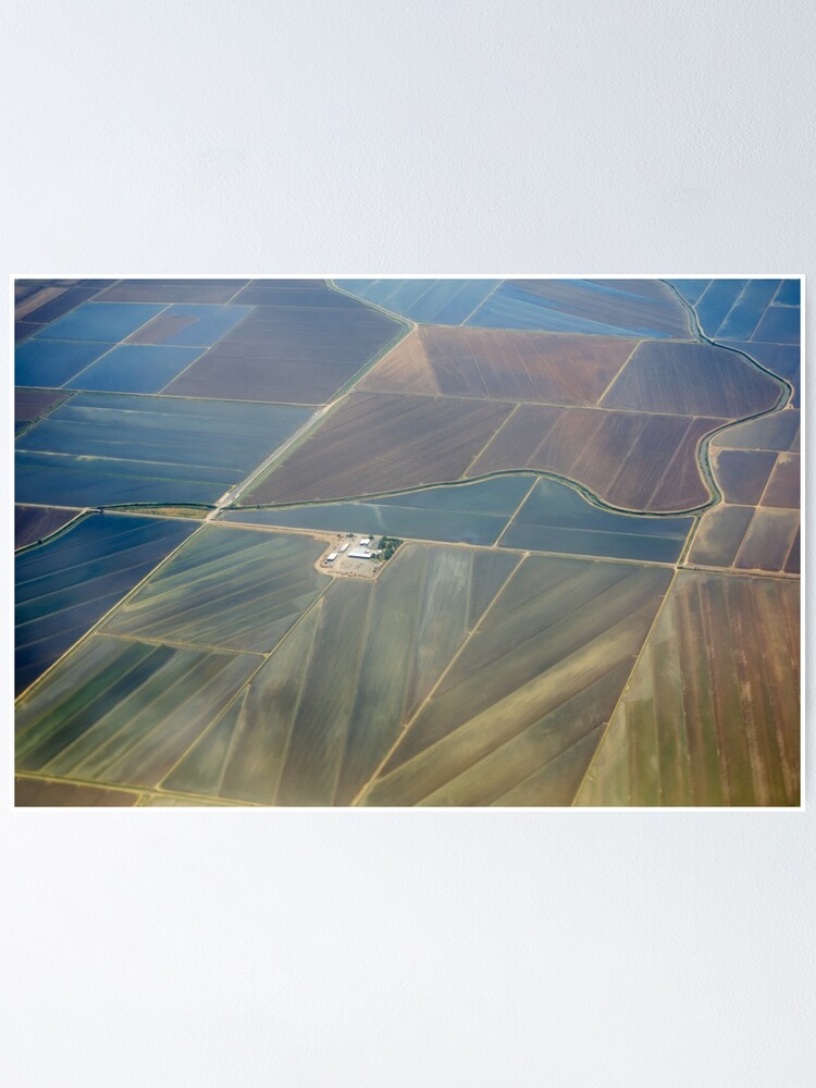 "Natomas Rice Fields" Poster by diegore | Redbubble
