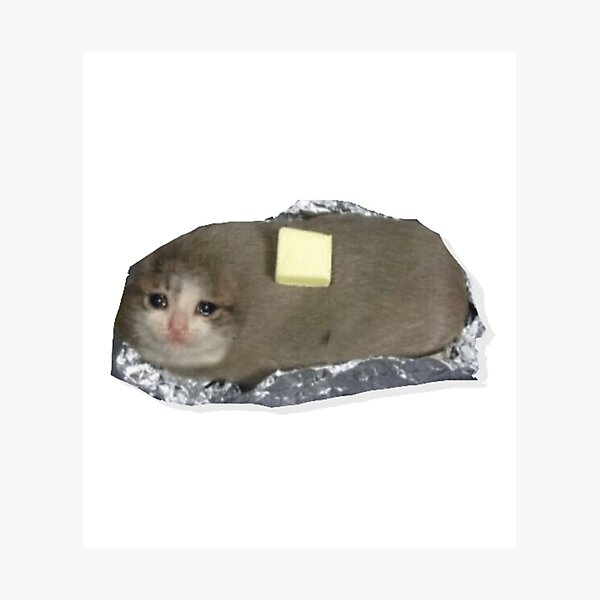 "crying baked potato cat" Photographic Print by citrea | Redbubble