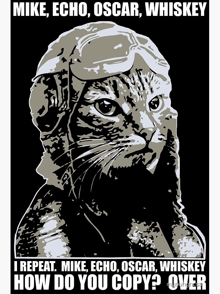 "M.E.O.W." Poster for Sale by myoungncsu | Redbubble