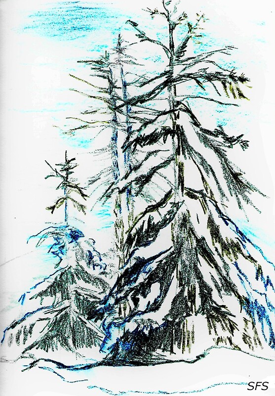 "Banff Trees" by Shannon Fautley-Sawatzky | Redbubble