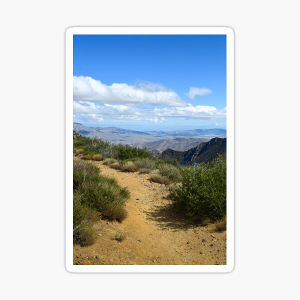 "Penny Pines Trail, Anza-Borrego Desert State Park, California" Sticker ...