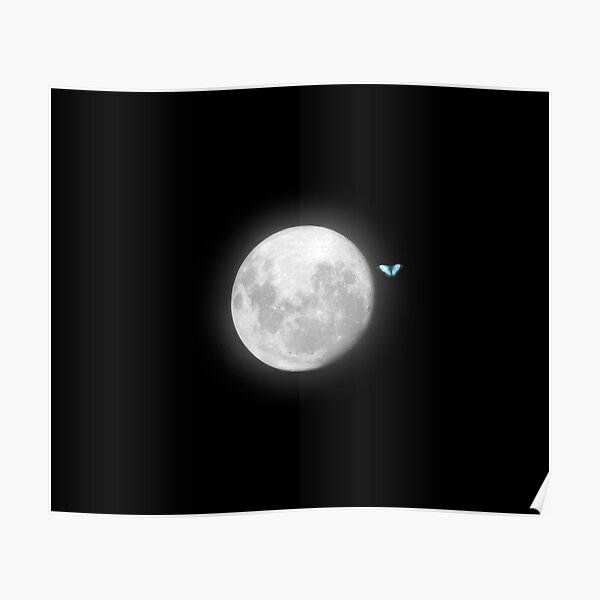 "cc2 & cc1" Poster for Sale by sangriaboy | Redbubble