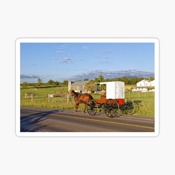 "Amish Horse and Buggy" Sticker by DelmasLehman | Redbubble
