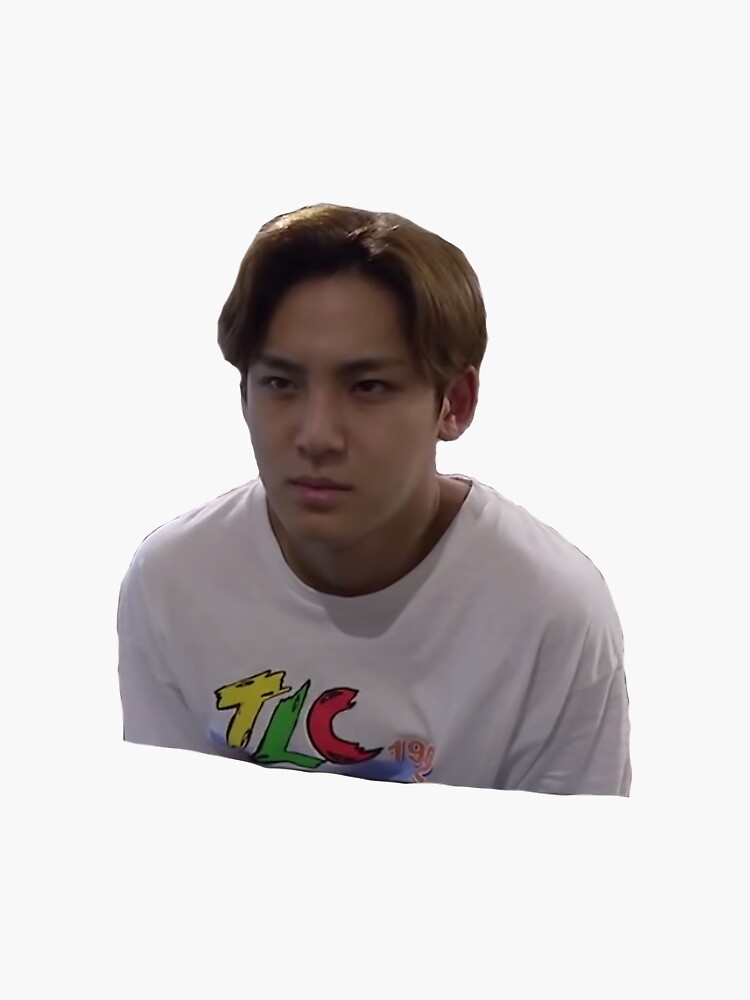 "sleepy mingyu sticker" Sticker for Sale by jolovesjeonghan | Redbubble