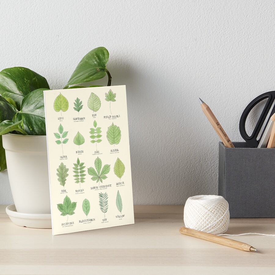 "Leaf ID Chart" Art Board Print for Sale by lhollyberry | Redbubble