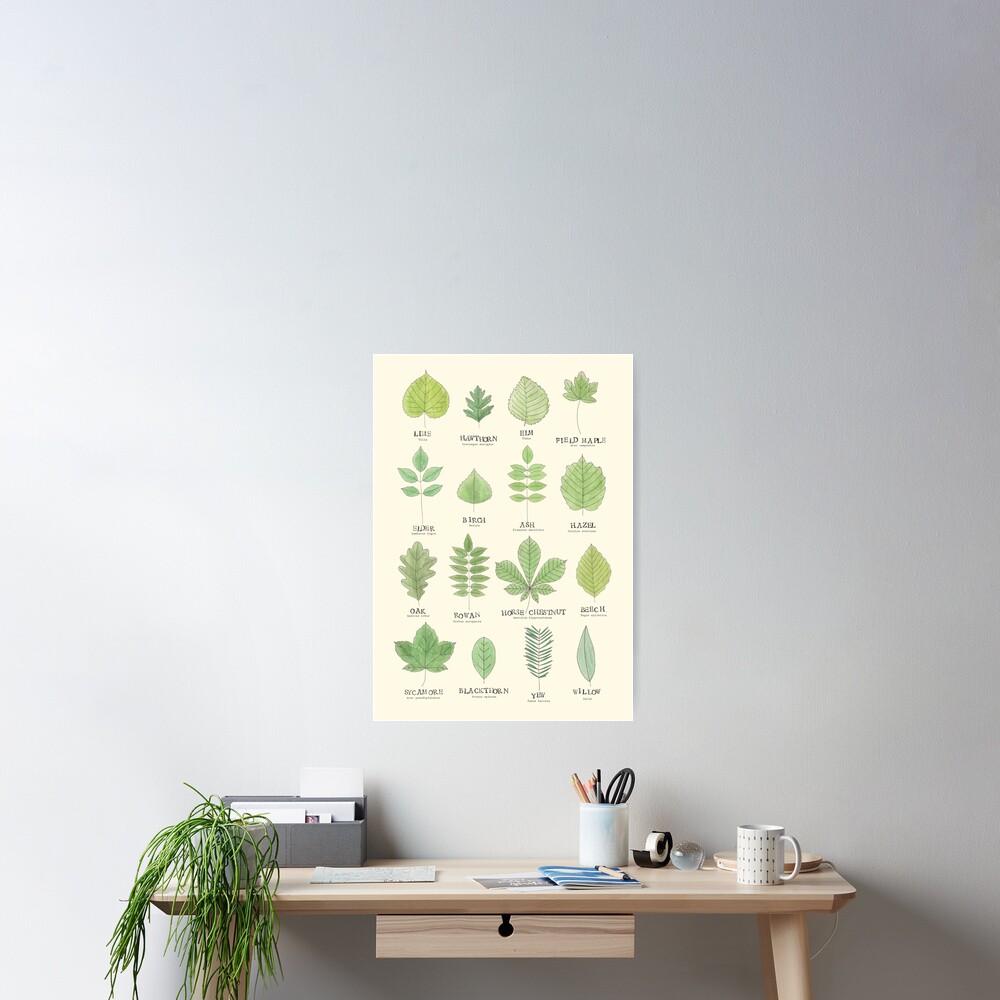 "Leaf ID Chart" Poster for Sale by lhollyberry | Redbubble
