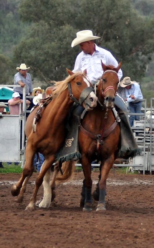 "Upper Horton Rodeo - Steve Bradshaw - Pick up Man 2010" by wildfillies ...