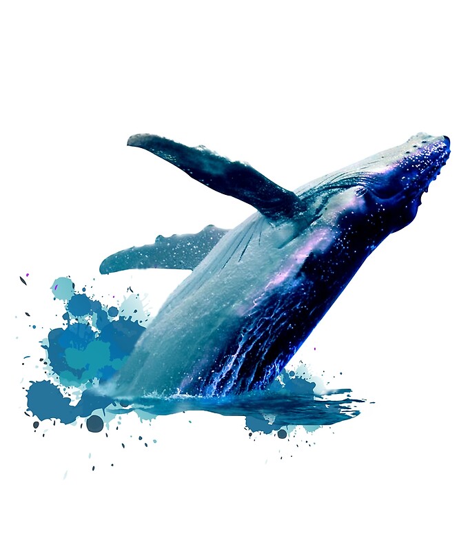 "Jumping Humpback Whale Watercolor Design" by Calami-Tees | Redbubble