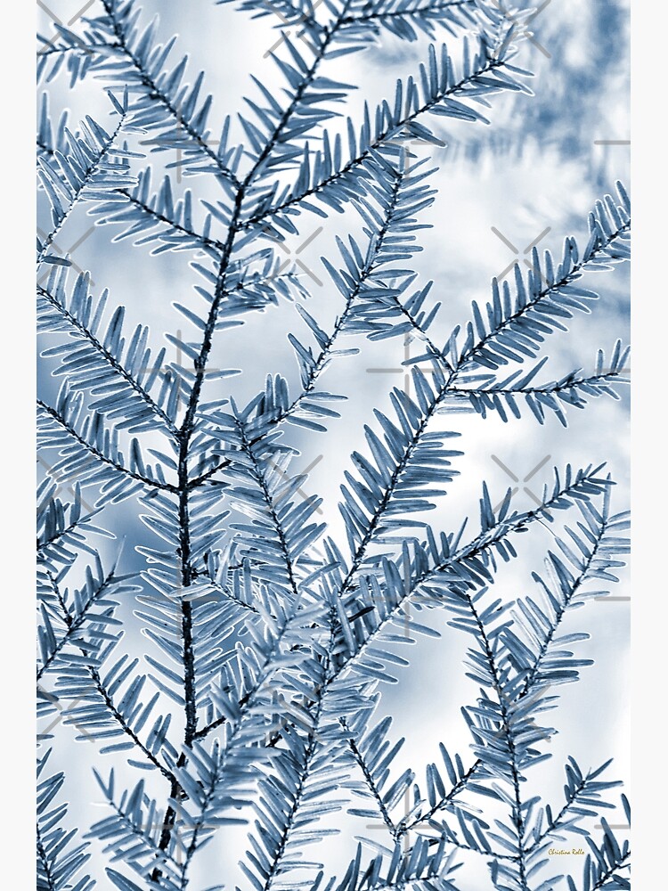 "Blue Abstract Pine Tree Art" Poster for Sale by rollosphotos | Redbubble