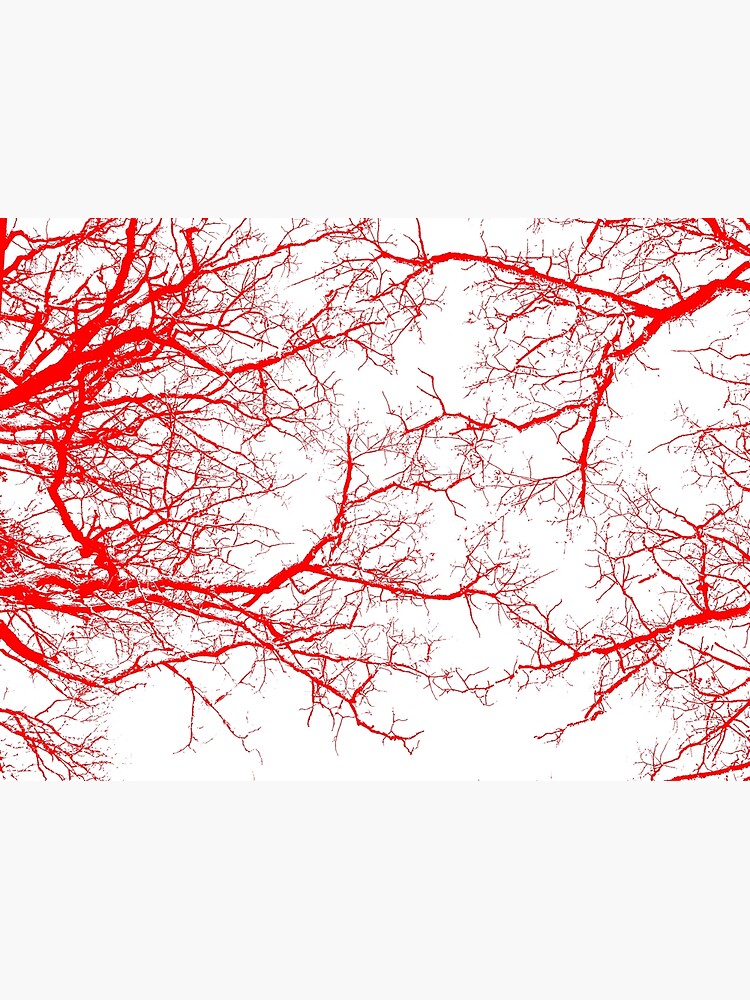 "Vains Tree " Poster for Sale by artbyjanina | Redbubble