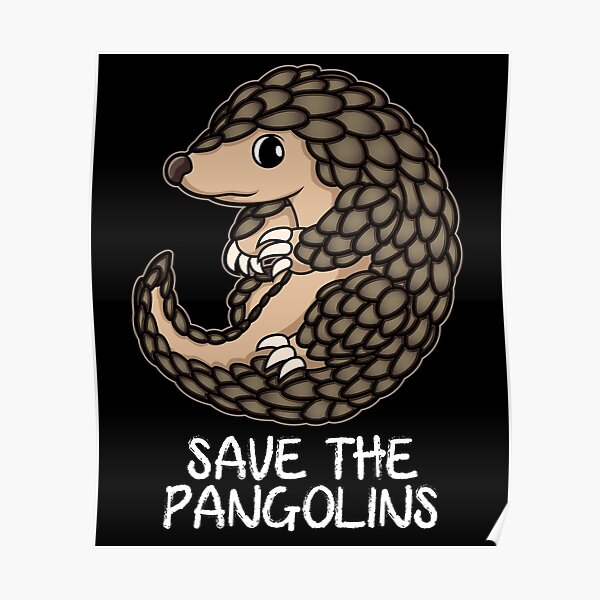Pangolins Posters | Redbubble