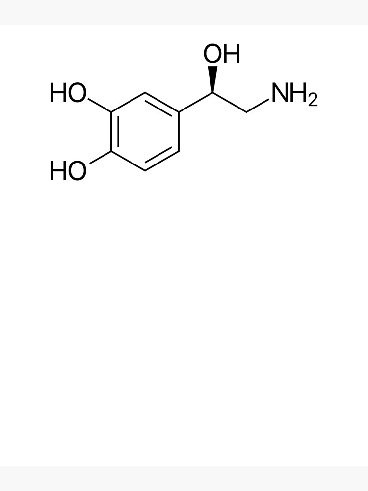 Póster «Estructura química de norepinefrina / noradrenalina» de the ...