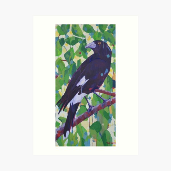 "Currawong" Art Print by depicture | Redbubble