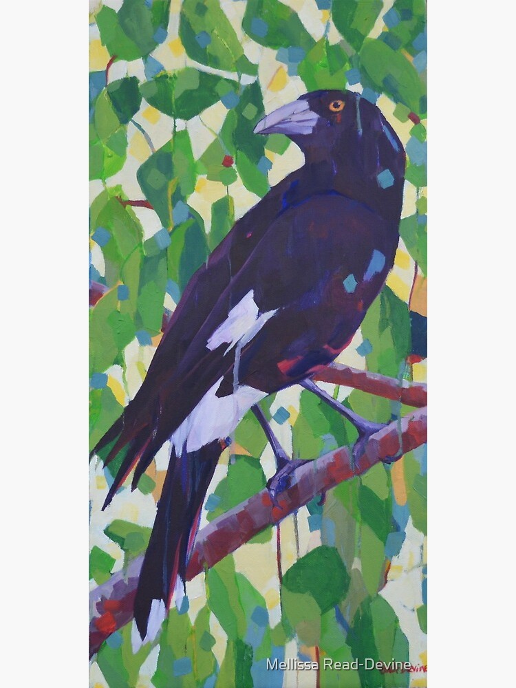 "Currawong" Art Print by depicture | Redbubble