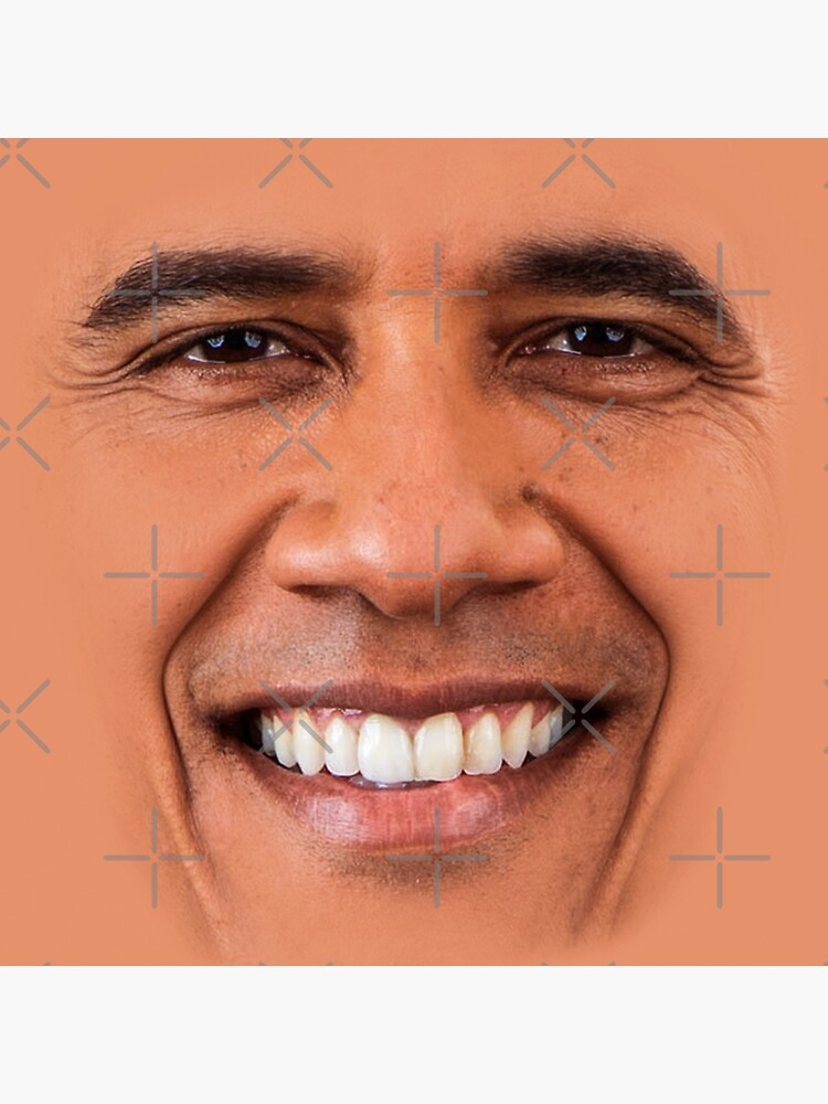 "Obama" Pillow for Sale by mud1017 | Redbubble