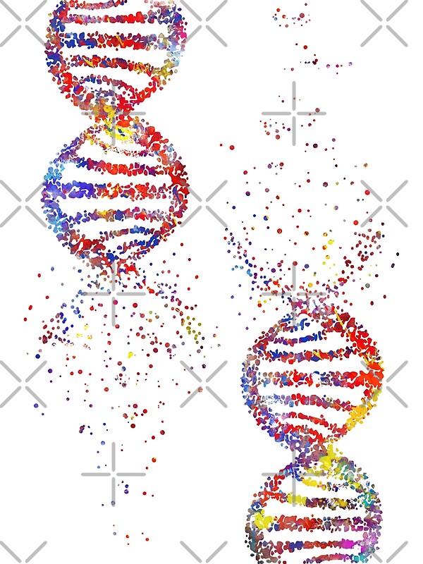 "The structure of DNA, DNA molecule, watercolor DNA, dna, molecule, dna ...