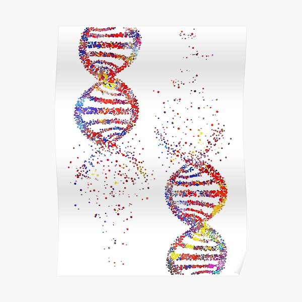 "The structure of DNA, DNA molecule, watercolor DNA, dna, molecule, dna ...