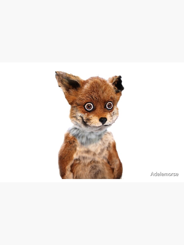 Dirty Fox Memes Happy Cartoon Squirrel Dancing Smiling Hi Res Stock