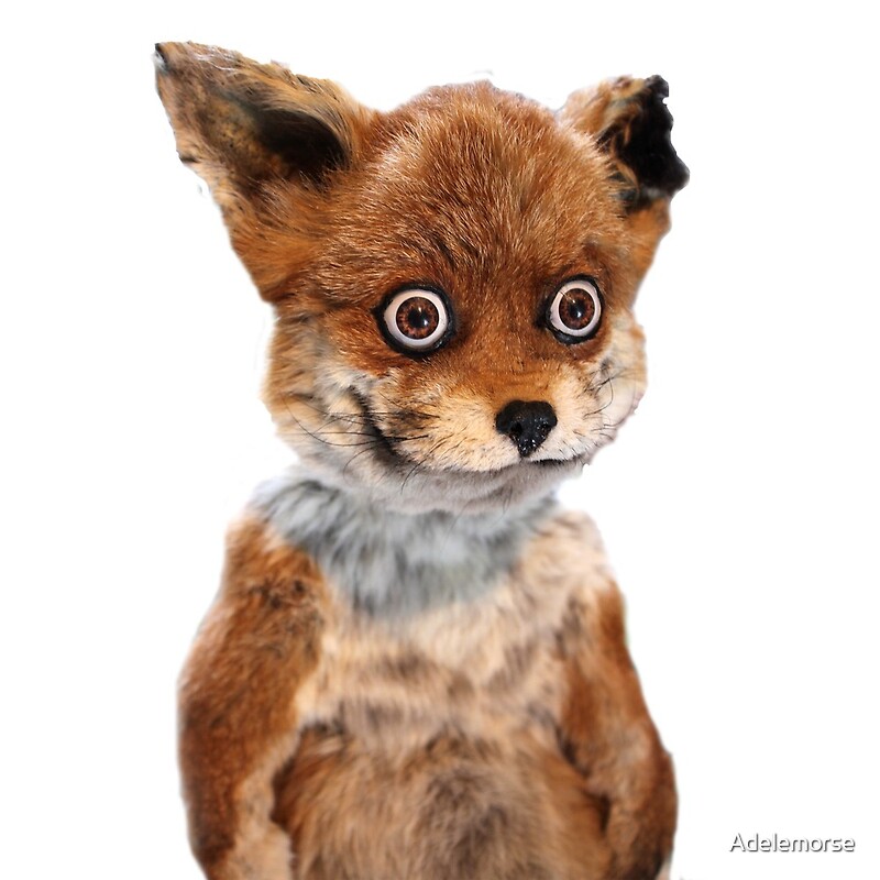 "GEOFF STONED FOX TAXIDERMY MEME ADELE MORSE" by ADELE MORSE | Redbubble