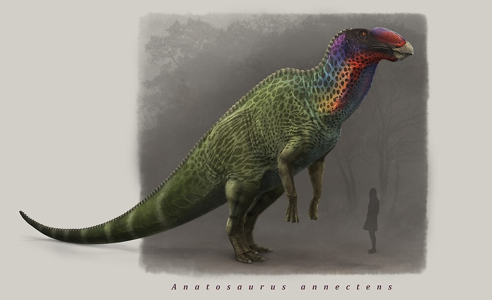 "Anatosaurus growth series" by Saurian | Redbubble