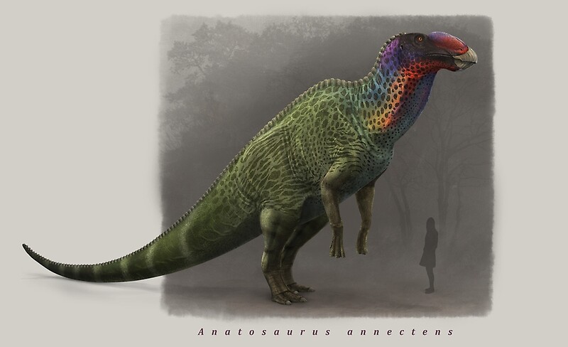 "Anatosaurus growth series" by Saurian | Redbubble