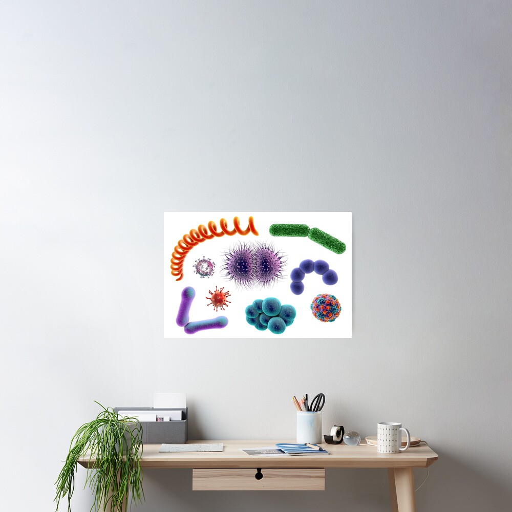 "Microbes of different shapes" Poster for Sale by DrMicrobe | Redbubble