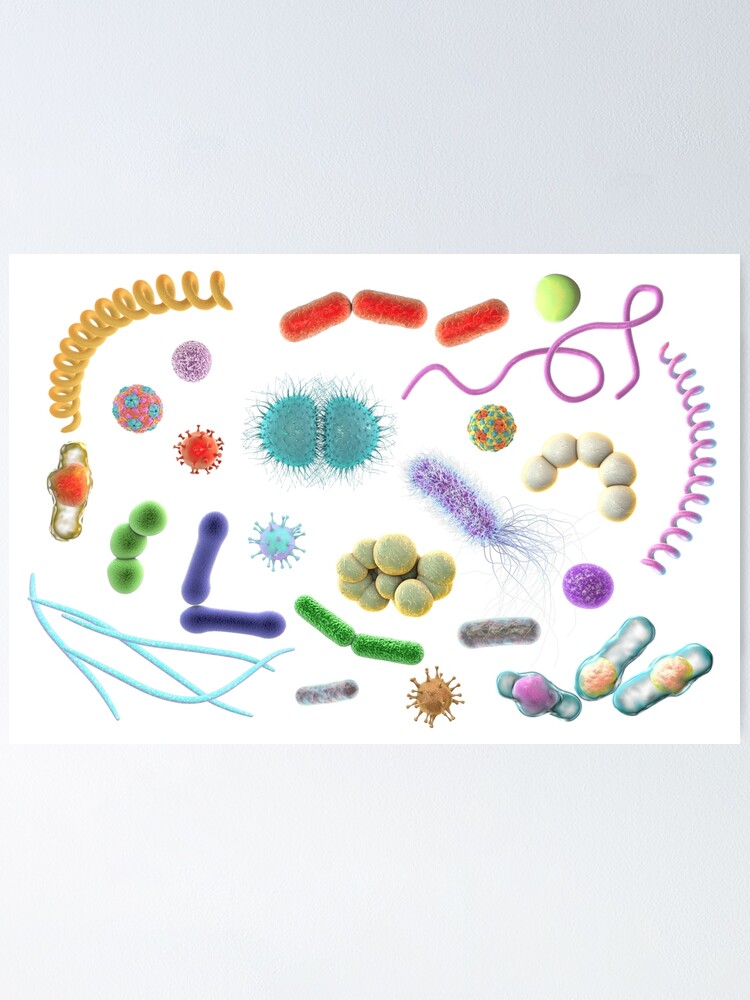"Microbes of different shapes" Poster by DrMicrobe | Redbubble
