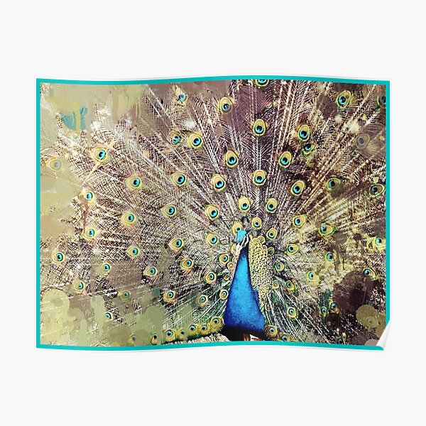 "I'm a Peacock! You Gotta Let Me Fly!" Poster by KazArtDesigns | Redbubble
